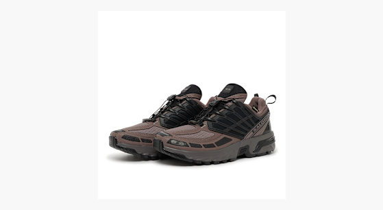 Buy Salomon ACS Pro GTX in brown | L47599700 at MBCY