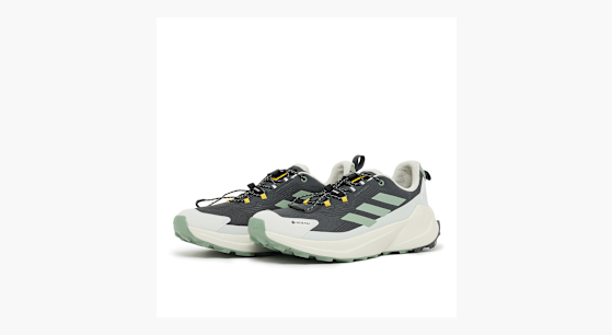 Buy adidas Originals Terrex Trailmaker 2 GTX x NG in grey | JP7064 at ...